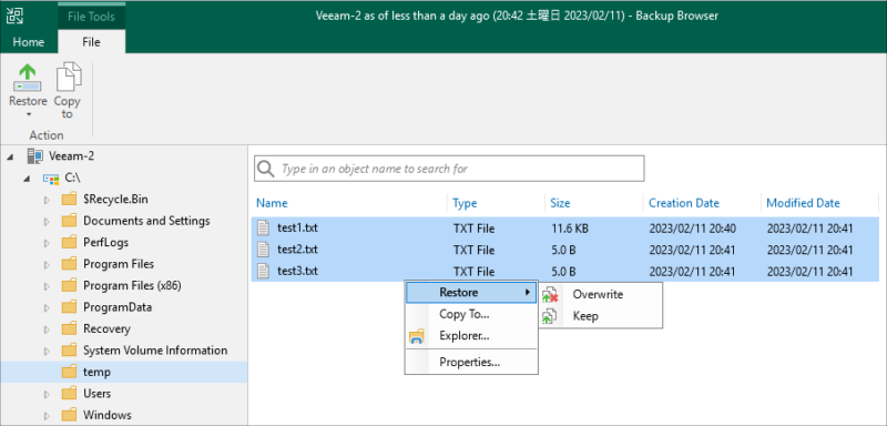 Veeam Backup & Replication v11をインストールして使ってみた | ITStudy